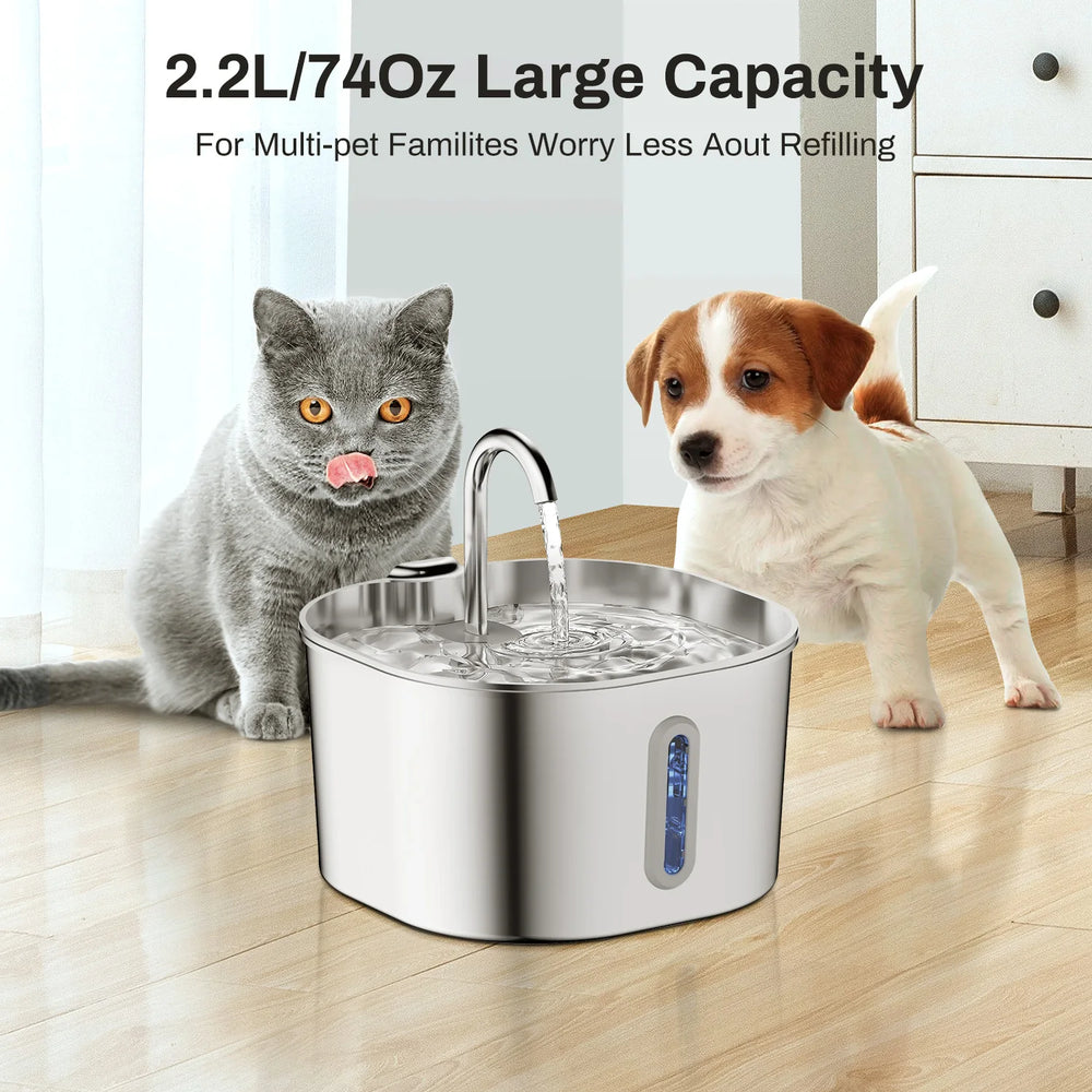 Silent Cat Water Fountain – Mijn winkel